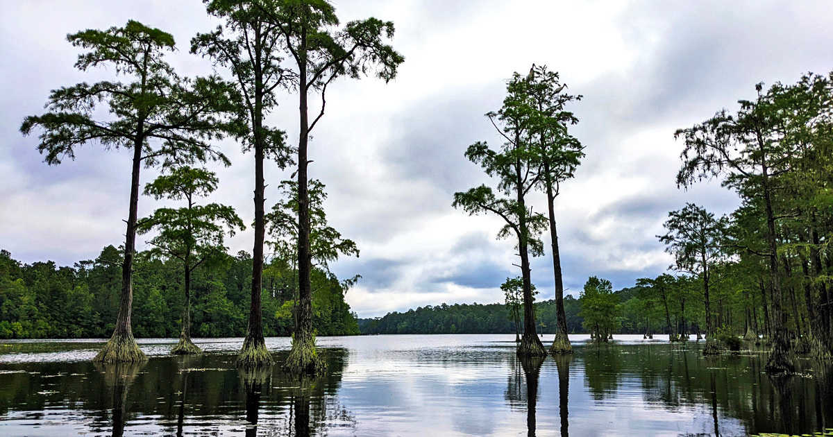 This Stunning State Park In South Carolina Is One Of The State's Best ...