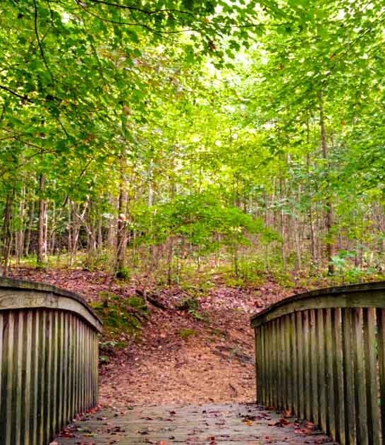 peaceful park georgia away ftr