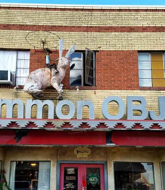 peculiar oddity shop texas ftr