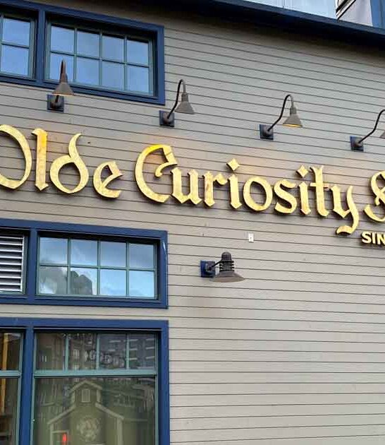 peculiar oddity shop washington ftr