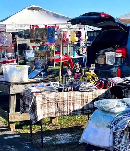 pennsylvania market deals flea ftr