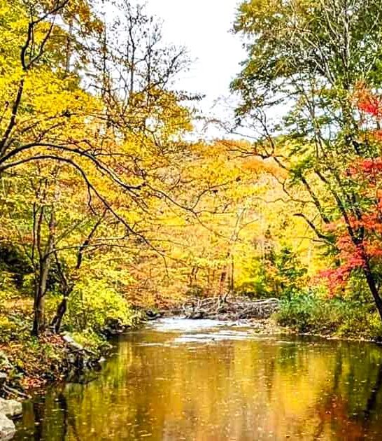 pennsylvania park unexpected beauty ftr