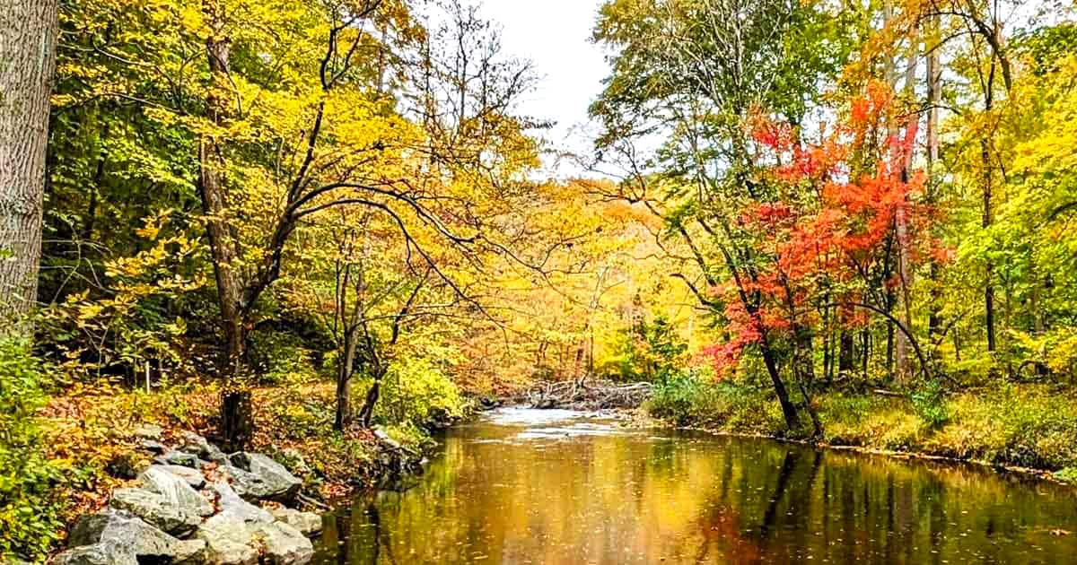 The Gorgeous State Park In Pennsylvania That’s Way More Beautiful Than ...
