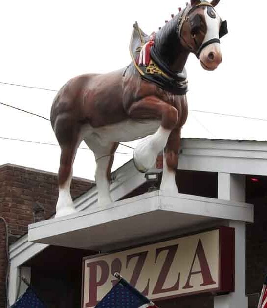 pepperoni pizza new jersey ftr