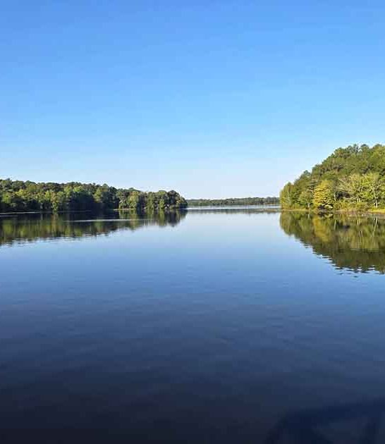 perfect alabama park state ftr