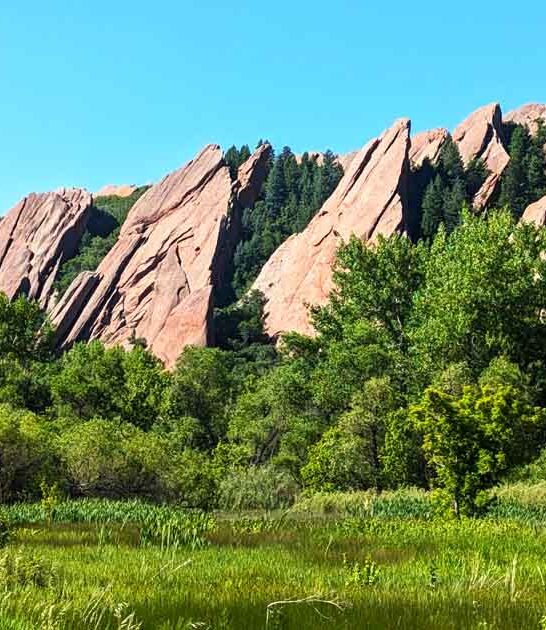 perfect state colorado park ftr