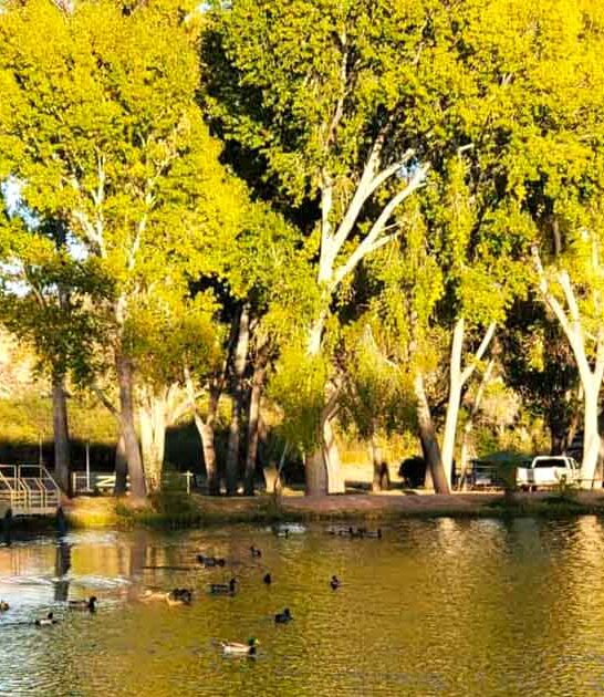 picture park arizona secrets ftr