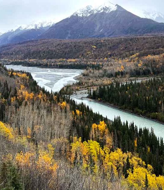 picture perfect alaska park ftr