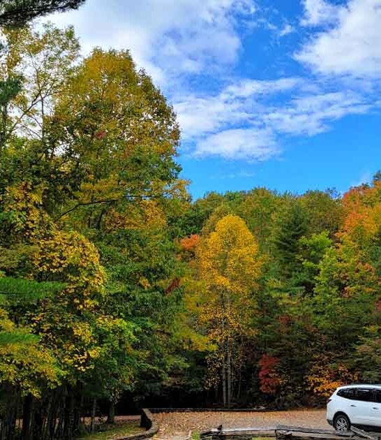 picture perfect park kentucky ftr