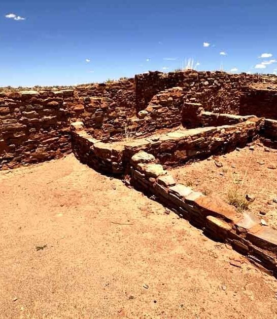 picturesque park arizona ftr