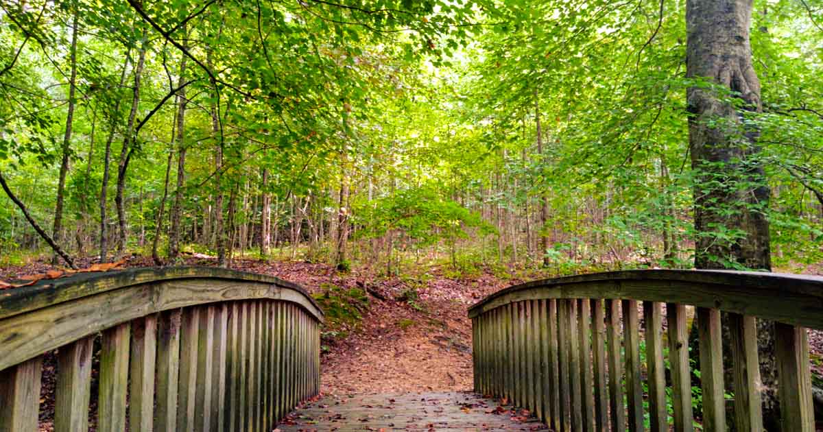 This Picturesque State Park In Georgia Is So Hidden…It’s Almost Forgotten