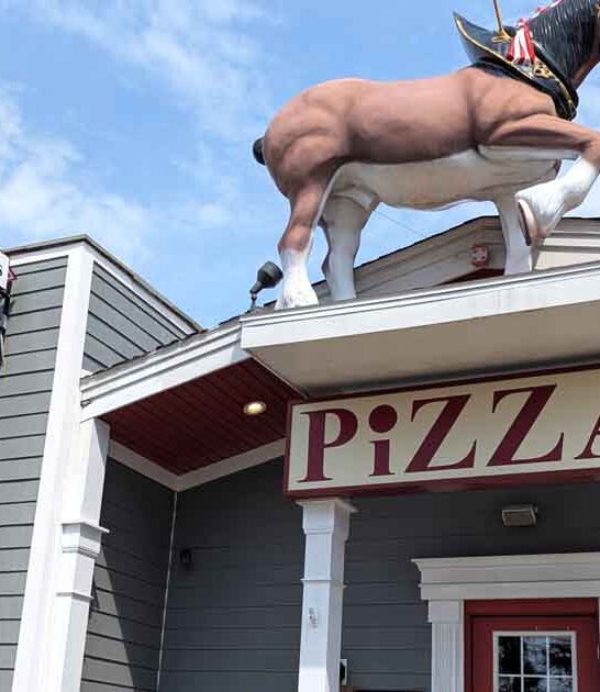 pizza joint new jersey ftr