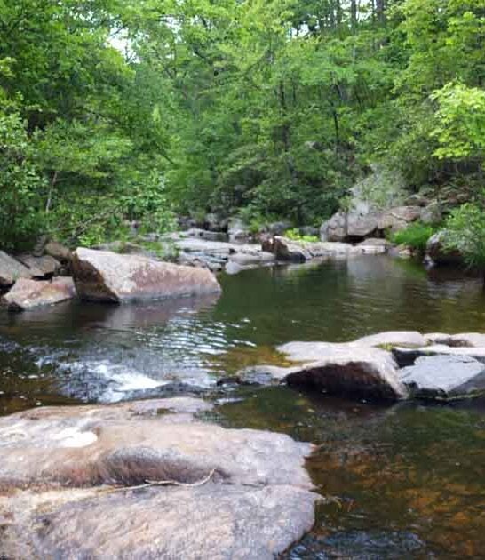 postcard missouri park gorgeous ftr