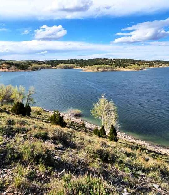 postcard perfect park wyoming ftr