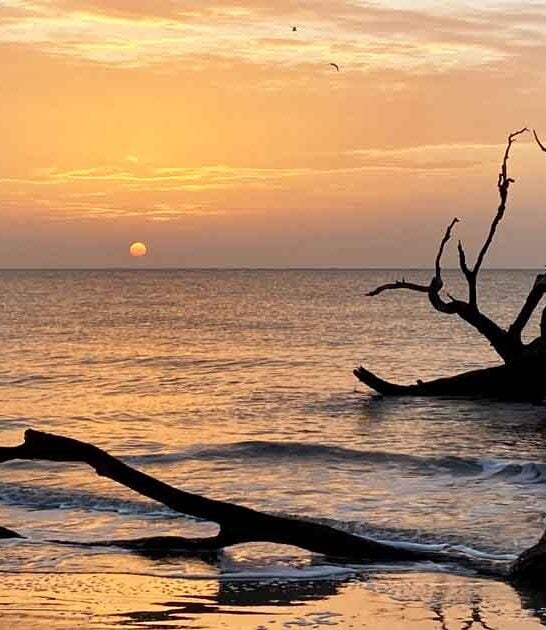 pristine georgia beach ftr