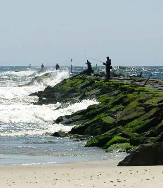 pristine park new jersey ftr