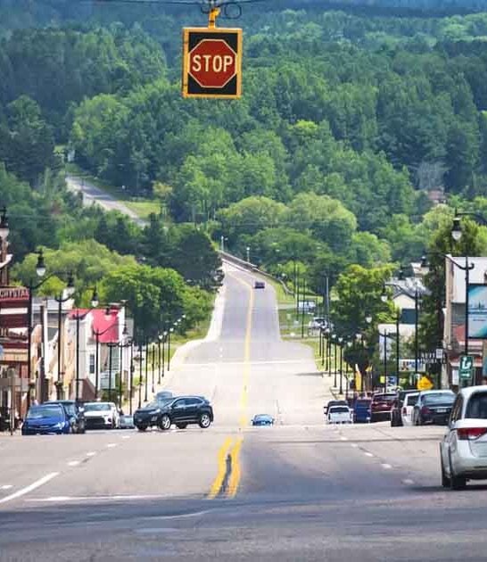 quaint town michigan life ftr