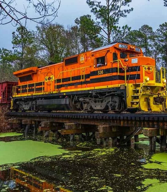 quiet towns life georgia ftr