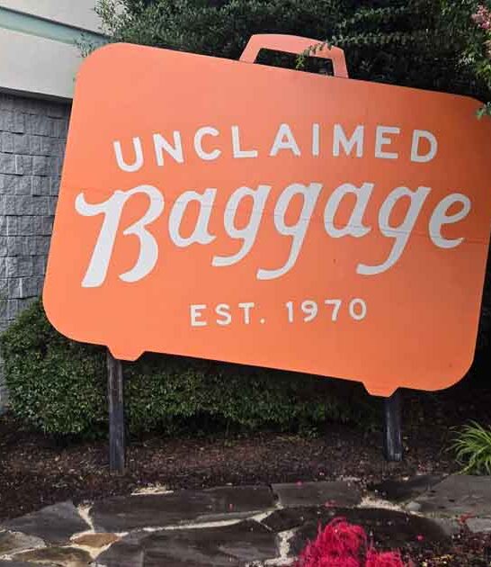 quirky alabama store fascinating ftr