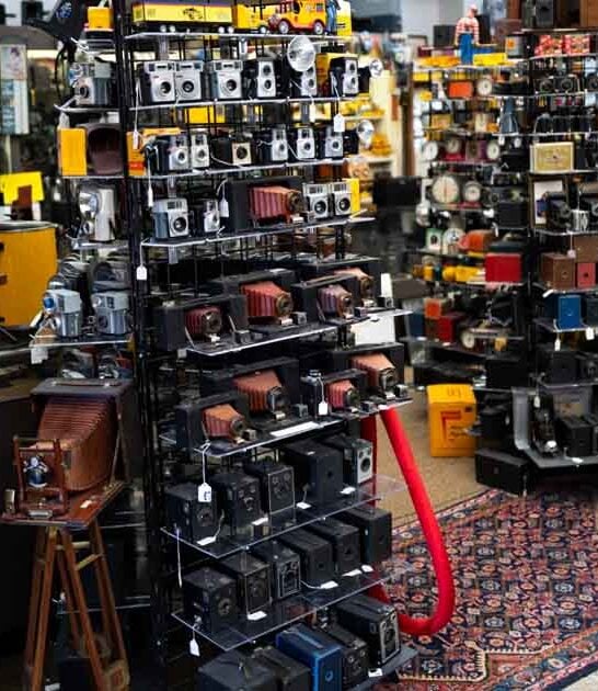 quirky museums virginia weird ftr