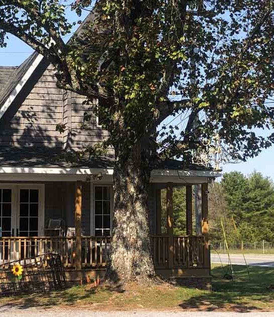 rabbit hole alabama cafe ftr