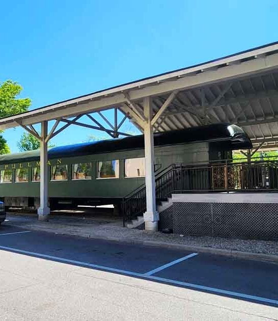 railroad museum south carolina ftr