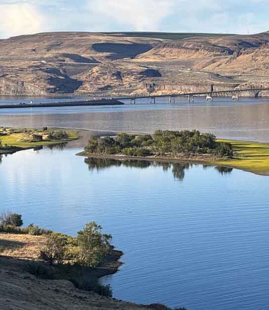 remote washington park forest ftr