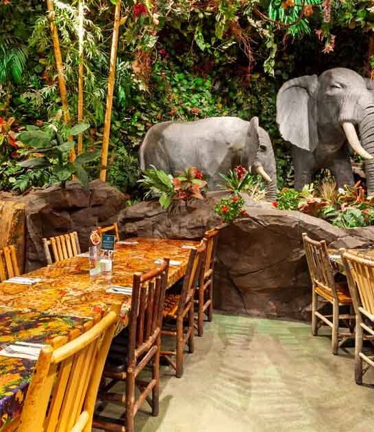 restaurant arizona jungle themed ftr