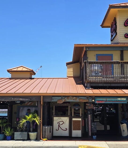 restaurant fresh catch florida ftr