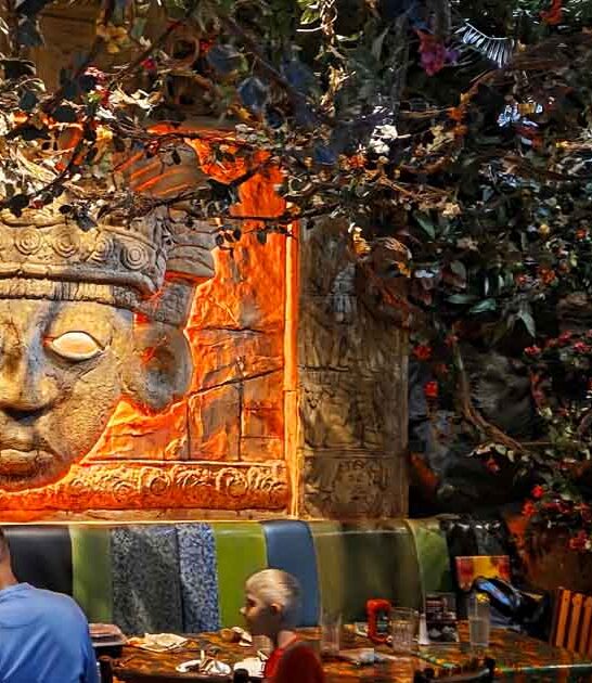 restaurant whimsical minnesota paradise ftr