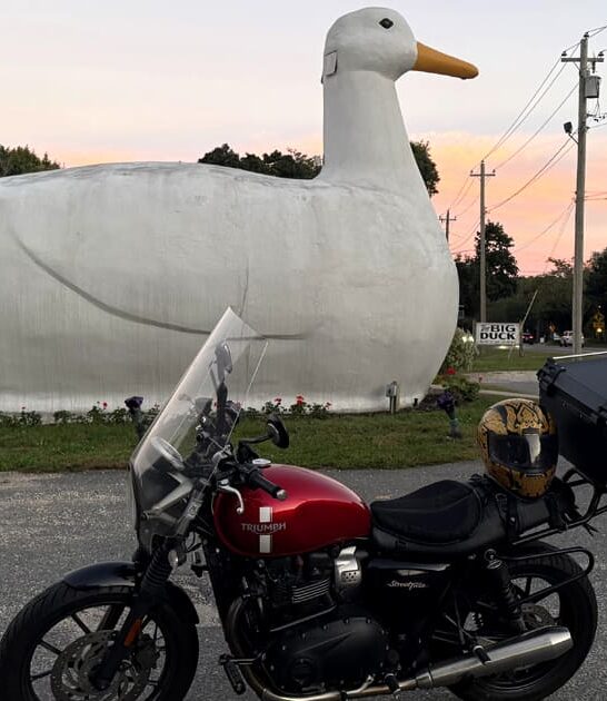 roadside attraction new york ftr
