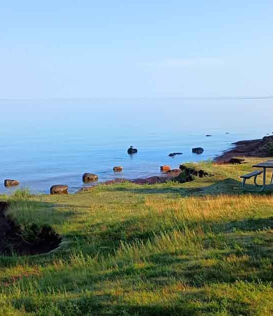 roam michigan stunning park ftr