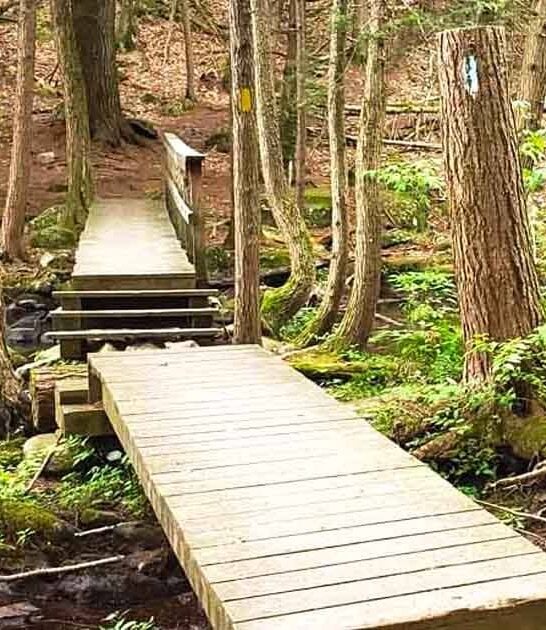 rugged state park connecticut ftr