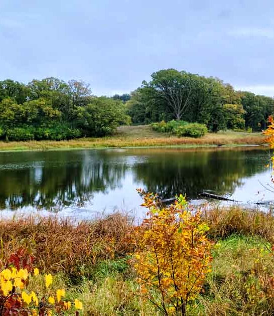 sacred summit park minnesota ftr