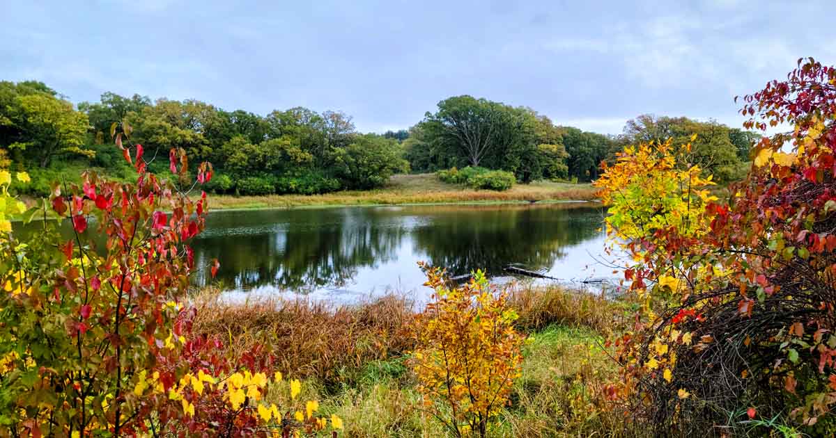 This Minnesota State Park Has A Summit That Indigenous Tribes And ...