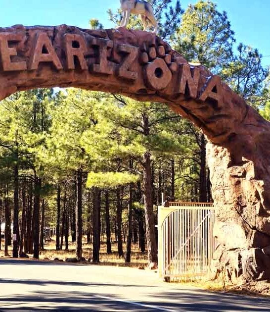 safari park arizona animal ftr