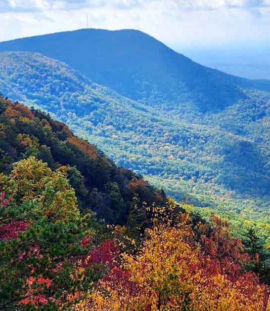 scenic georgia views park ftr