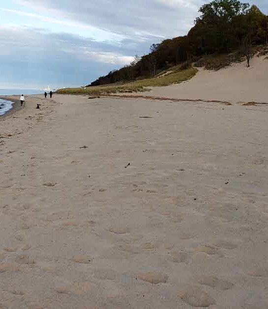 scenic park indiana state ftr