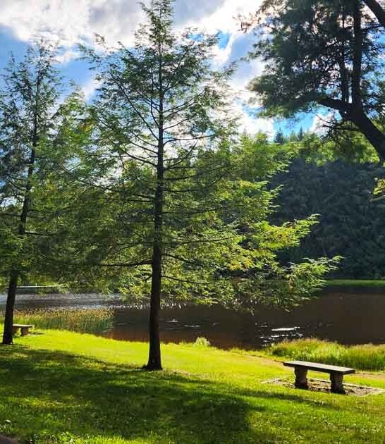 scenic park maryland trips ftr