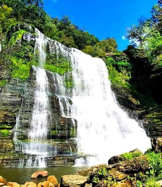 scenic park tennessee postcard ftr