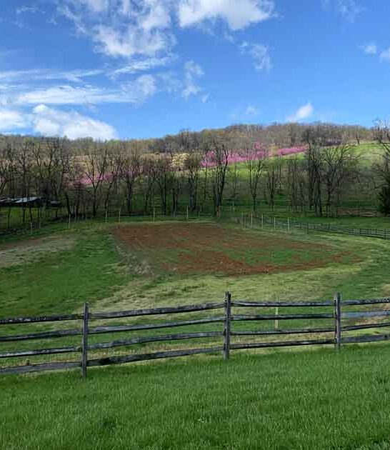 scenic park virginia ftr