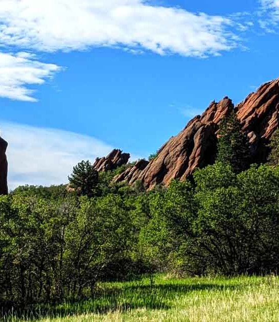 scenic state colorado park ftr