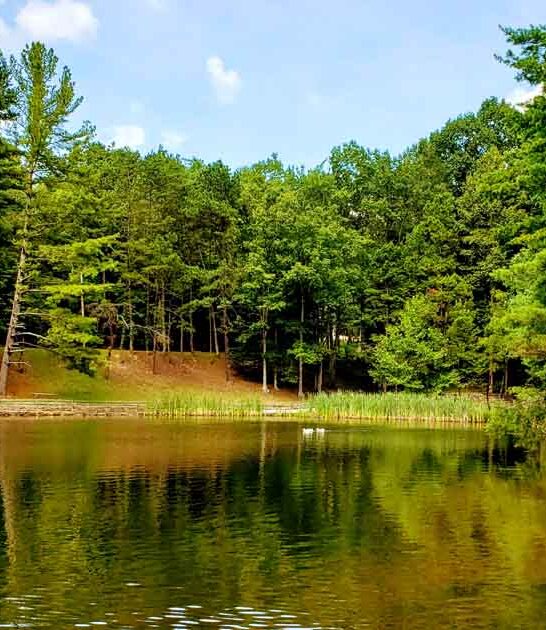 scenic state kentucky park ftr