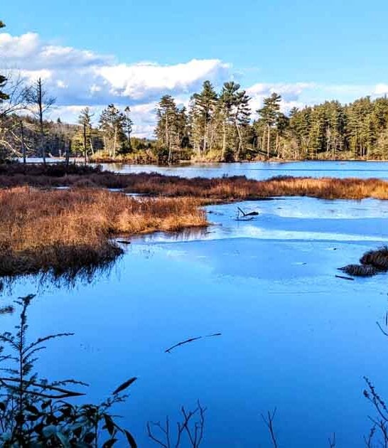 scuba diving park connecticut ftr