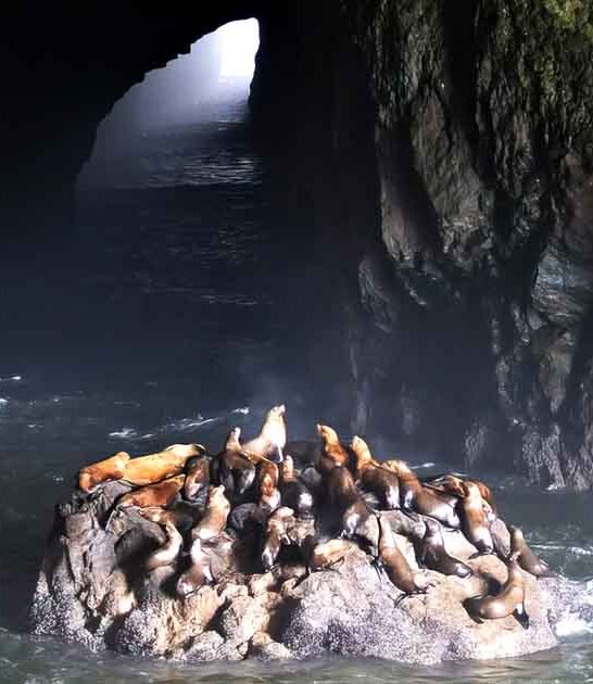 sea cave oregon wonderful ftr