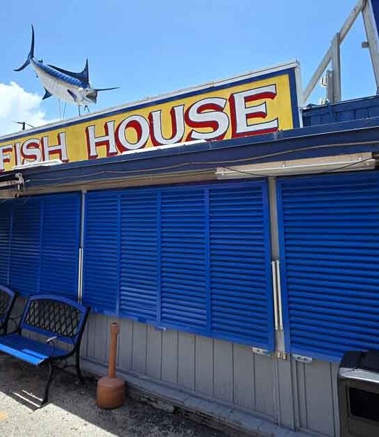 seafood florida restaurants delicious ftr