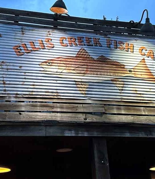 seafood lovers south carolina ftr