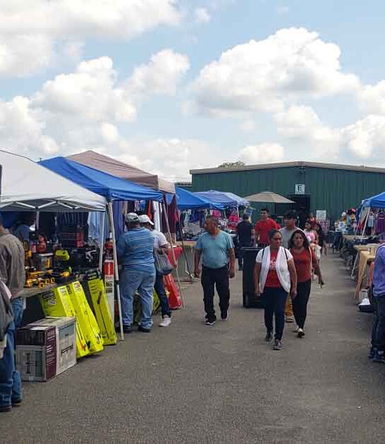 secondhand south carolina market ftr