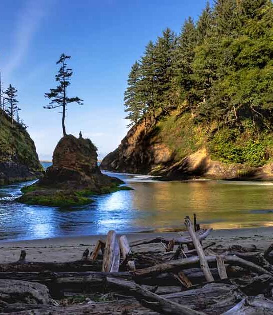 secret beach spot washington ftr