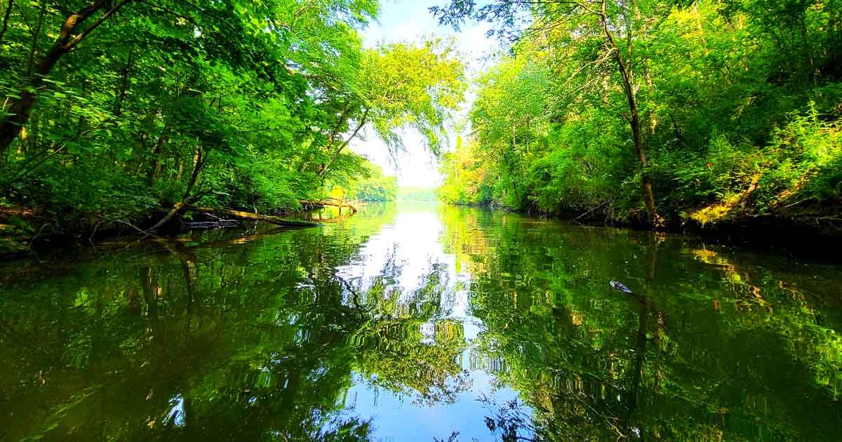 The Picture-Perfect State Park In Alabama That's Too Beautiful To Keep ...